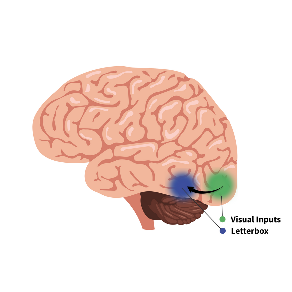 Science of Reading – Logic Of English